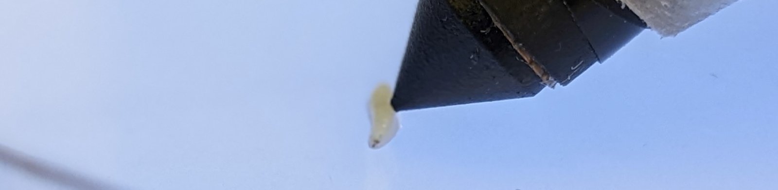 Research - Jaszczak Lab